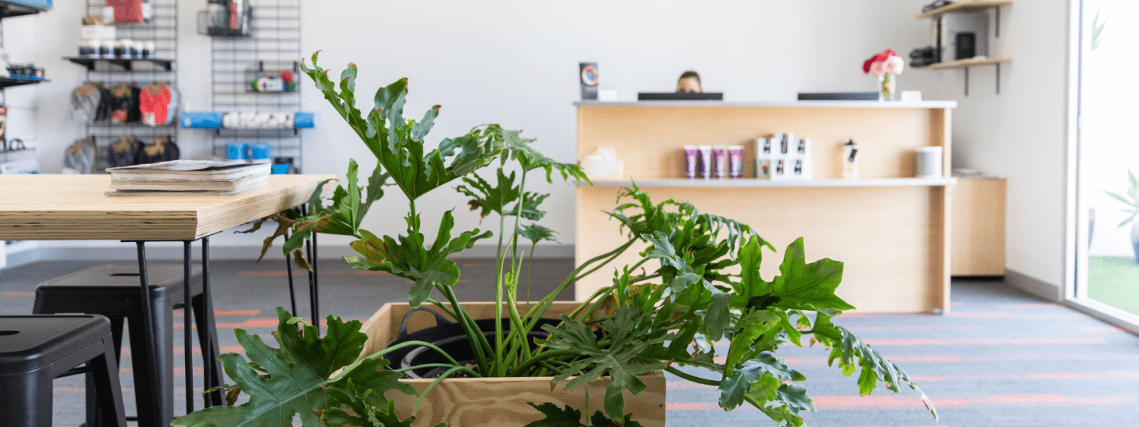 Forms & Downloads - O-health